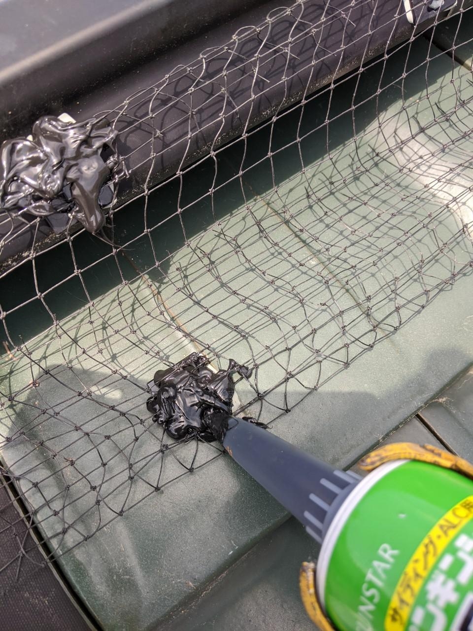 Https Www Hatoyoke Jp Column E6 9d B1 E5 8c Bak E6 A7 98 E3 80 80 E9